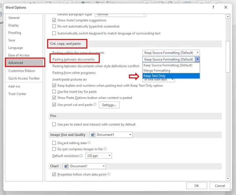 How to paste texts into Word documents unformatted